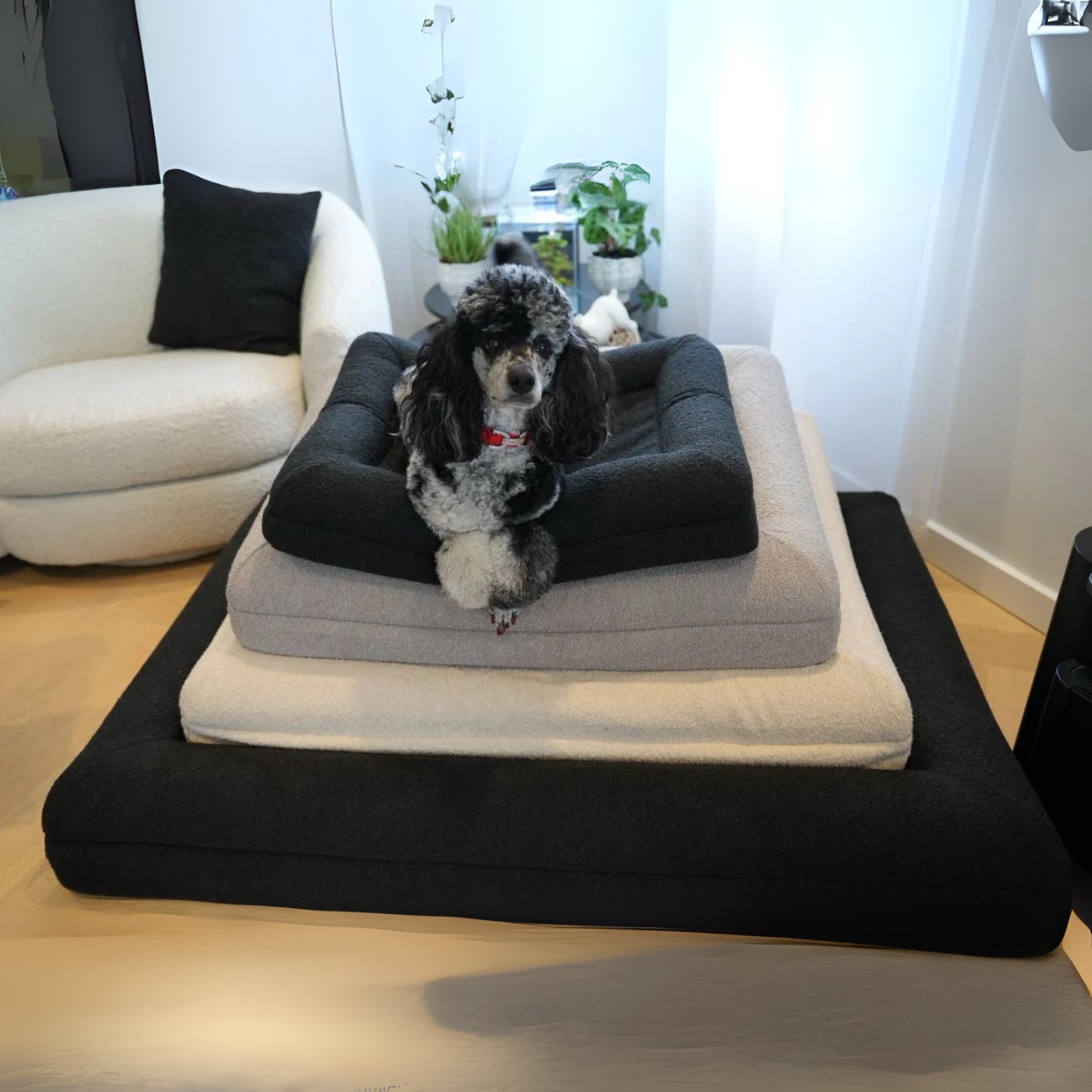 Lux Paws Boucle Orthopedic Dog Beds for Ultimate Comfort